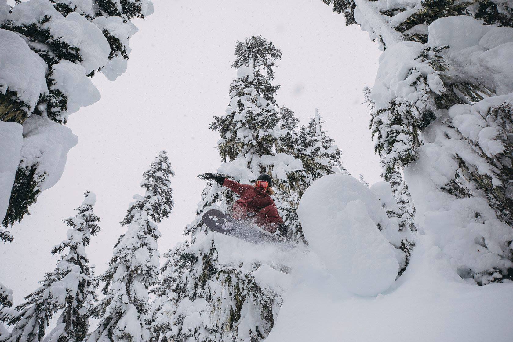 Burton Family Tree je kolekce plná pořádných freeridových snowboardů